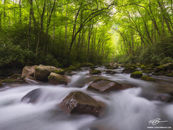 Summer Flow | Great Smoky Mountains National Park, Tennessee | Colorado ...